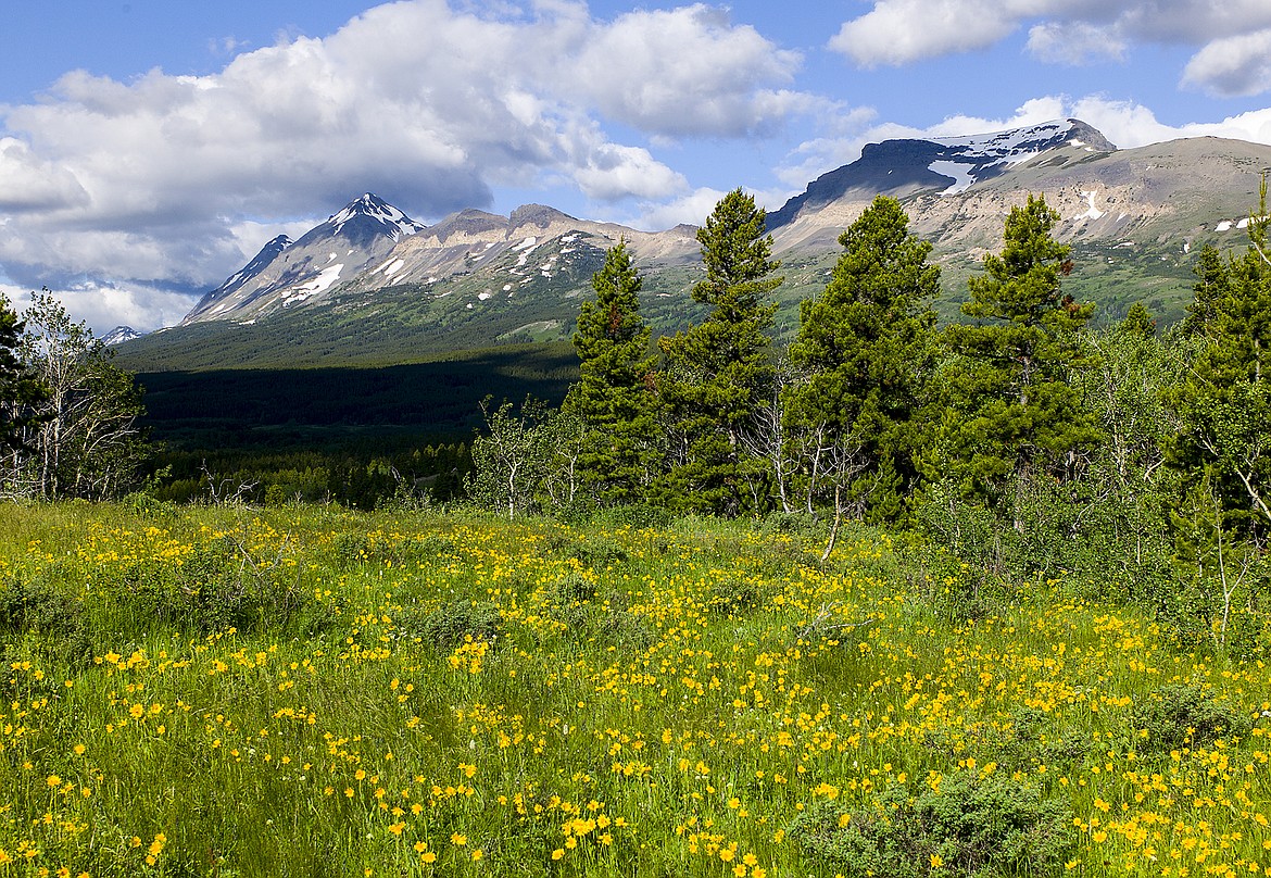Blackfeet propose permanent protections for Badger Two Medicine ...
