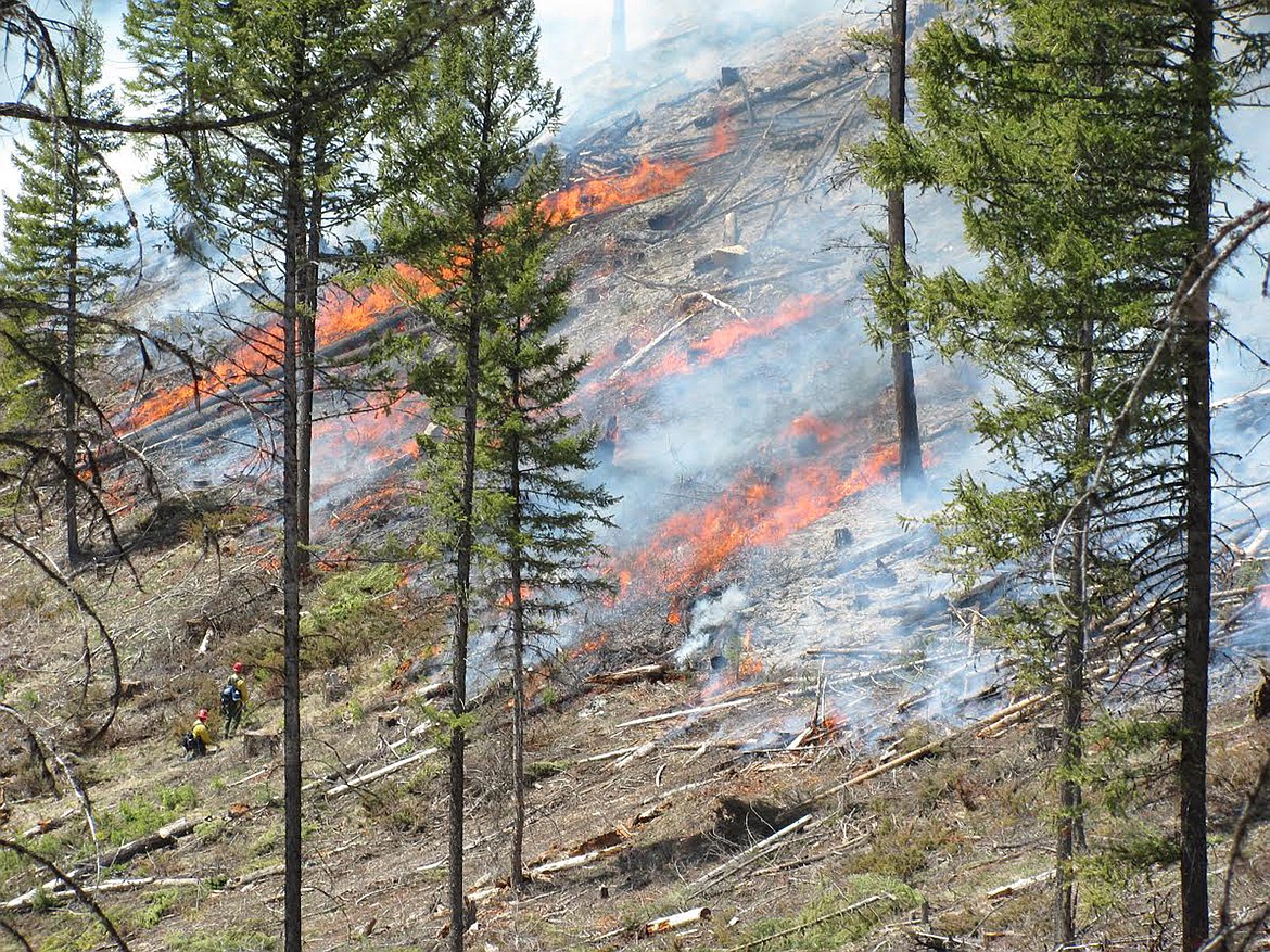 Flathead National Forest plans prescribed burns | Daily Inter Lake