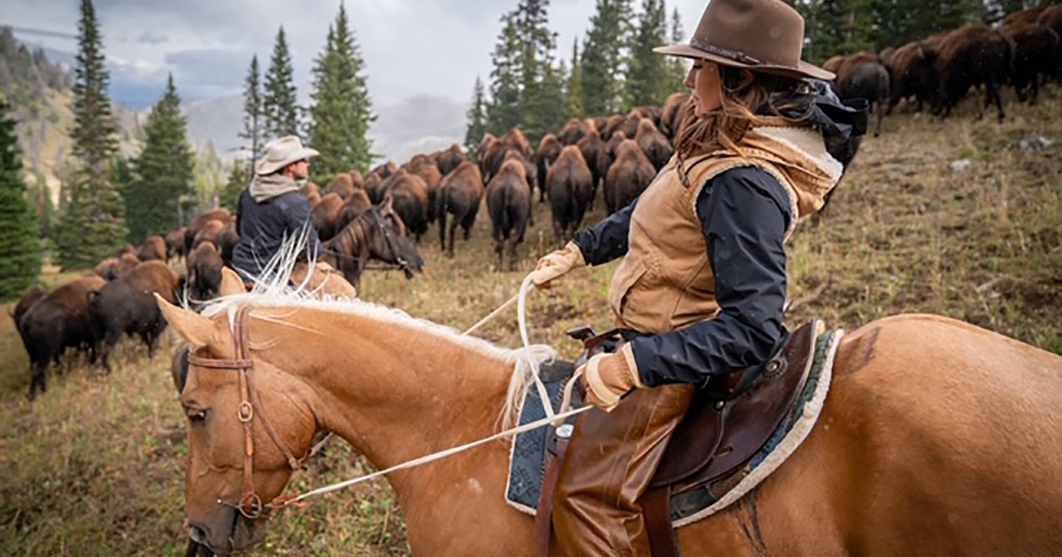 Couple realizes longtime dream of running bison ranch | Daily Inter Lake