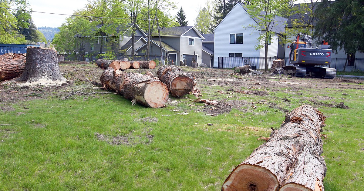 Trees removed from old White House property to make it ready for sale ...