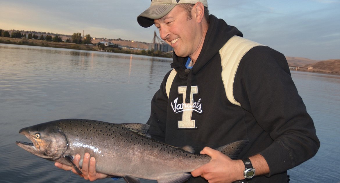 Fair return of adult Chinook salmon to Idaho expected | Hagadone News ...