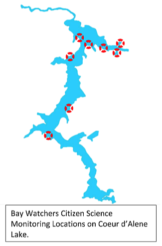 Our Gem Coeur d’Alene Lake Collaborative | Coeur d'Alene Press