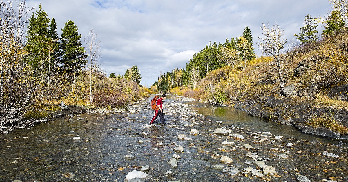 Tester says Badger-Two Medicine lease problem could be fixed by Act of ...