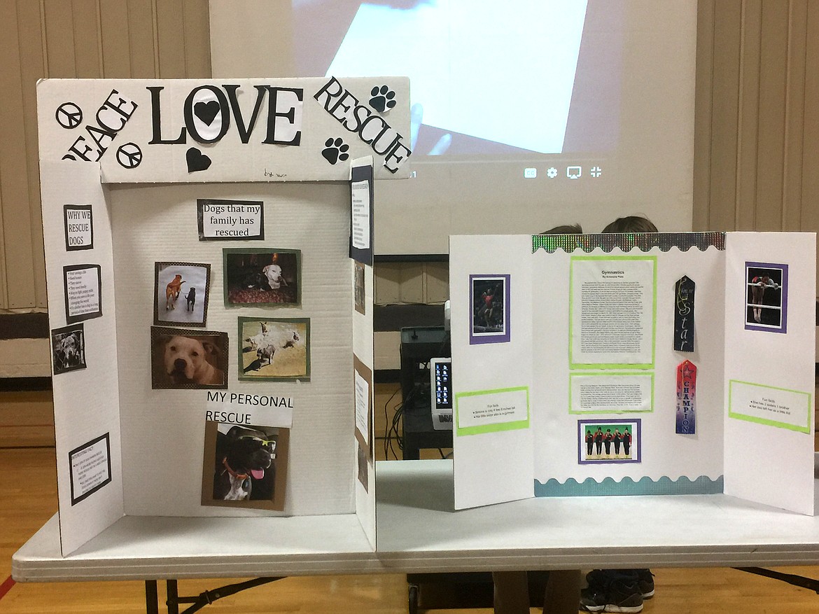 Creative Tri Fold Poster Ideas