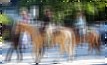 Fair Parade makes return to downtown Kalispell | Daily Inter Lake