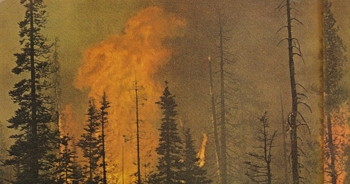 Remembering those who fought the Sundance Fire of 1967 | Bonners Ferry ...