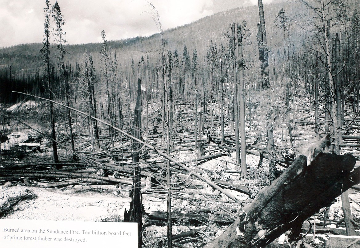 The lessons & legacy of the Sundance Fire | Bonner County Daily Bee