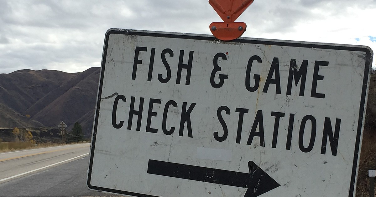 Fewer hunters, average harvest logged at IDFG check stations | Coeur d ...