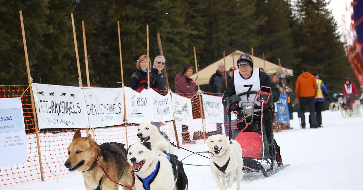 Mushers, sled dogs race to 49 years of fun | Hagadone News Network