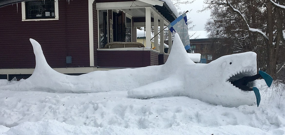 Snow shark! | Coeur d'Alene Press