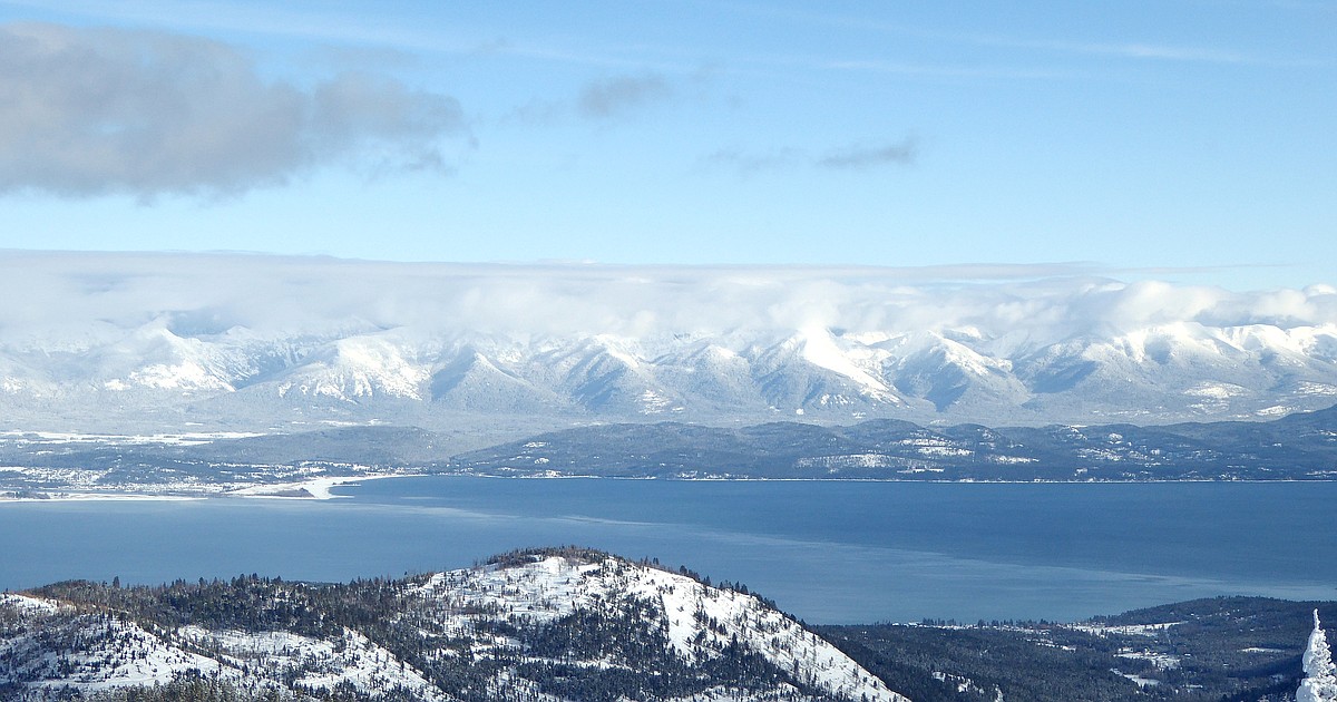 Blacktail Mountain thinning project approved over endangered species ...