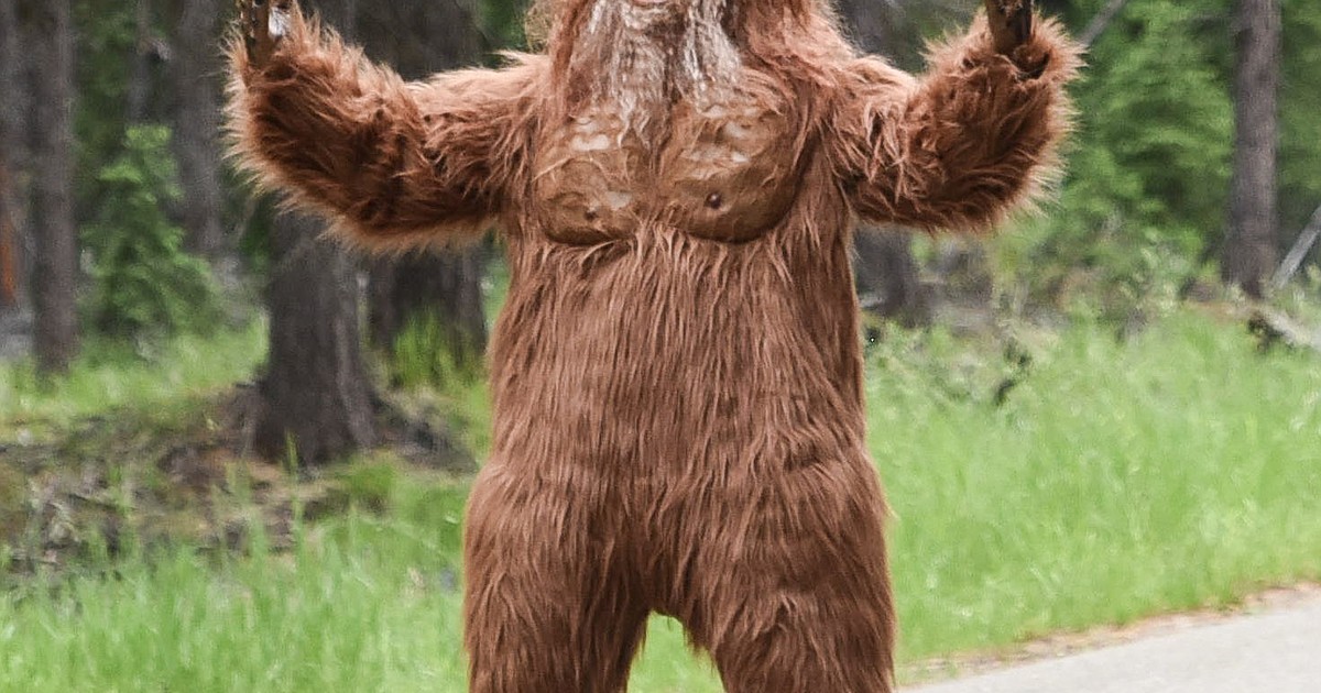 2019 Yaak Sasquatch Run: catchin' the 'squatch | Western News