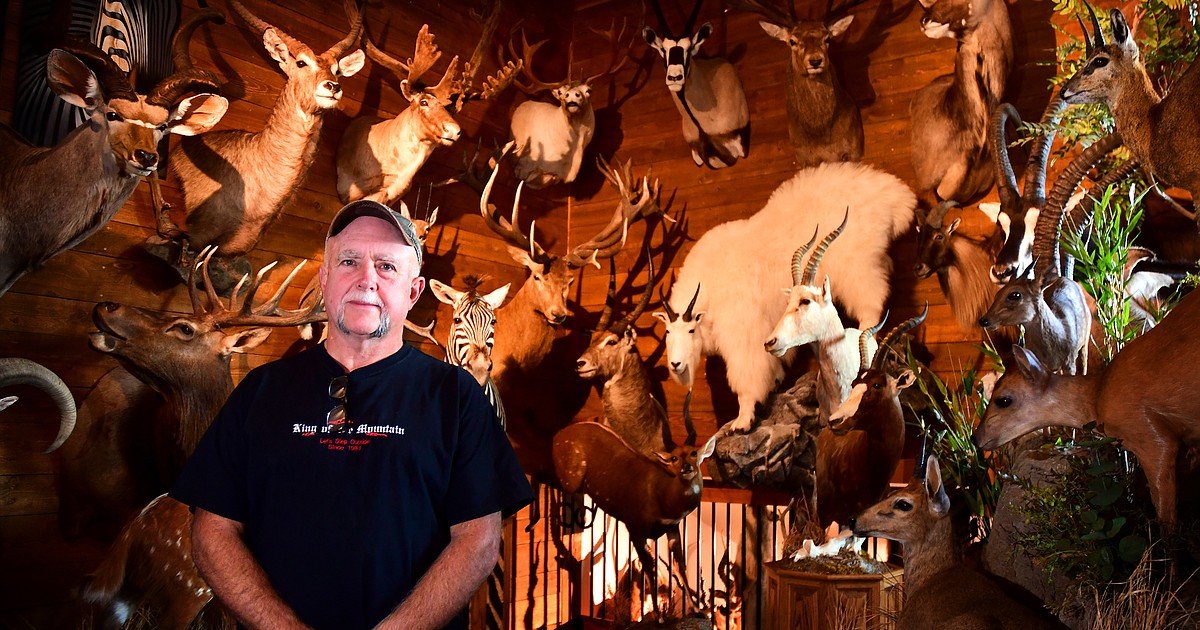 Exotic creatures featured in Hungry Horse Museum | Hungry Horse News