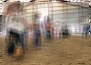 Bonner County Fair kicks off the fun today | Bonner County Daily Bee