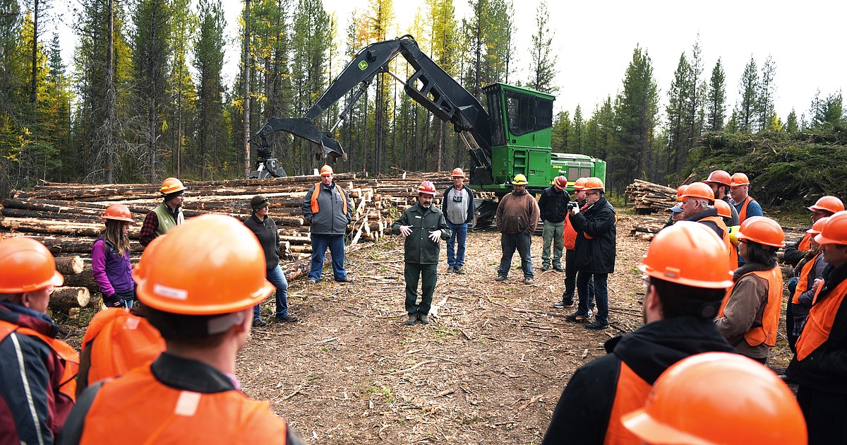 Timber tour connects residents to their roots | Daily Inter Lake