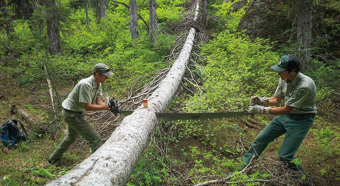 Forest Service announces seasonal job openings | Hagadone News Network