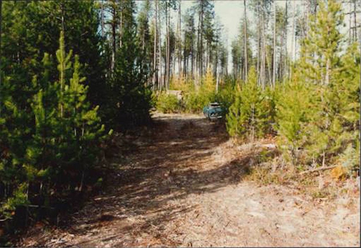 WSP reopens murder investigation | Hagadone News Network