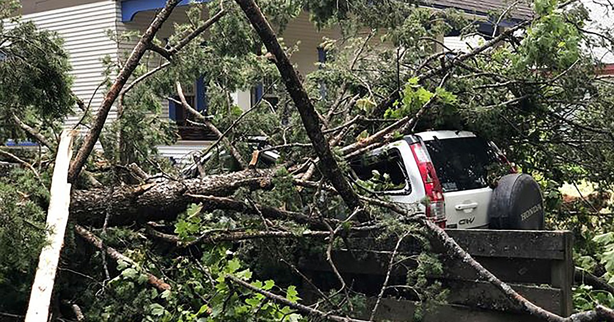 Wild windstorm slams region | Hagadone News Network