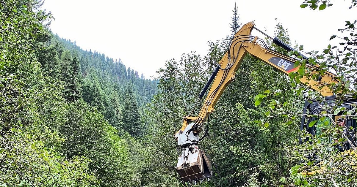 Trout Unlimited backs Clark Fork restoration project | Valley Press ...
