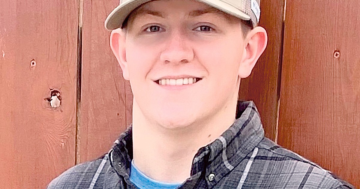 Election 2020: Braxton Mitchell House District 3 | Hungry Horse News