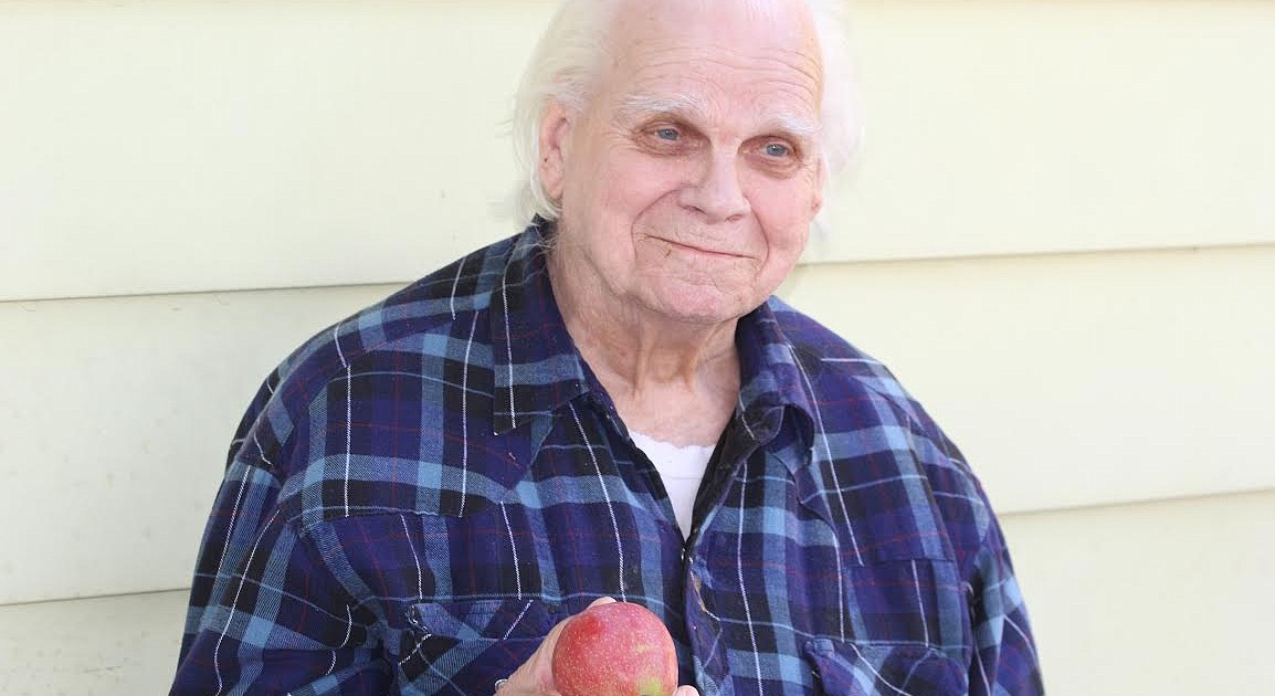 Decades later, Brovold's vision lives on at apple orchard | Hagadone ...