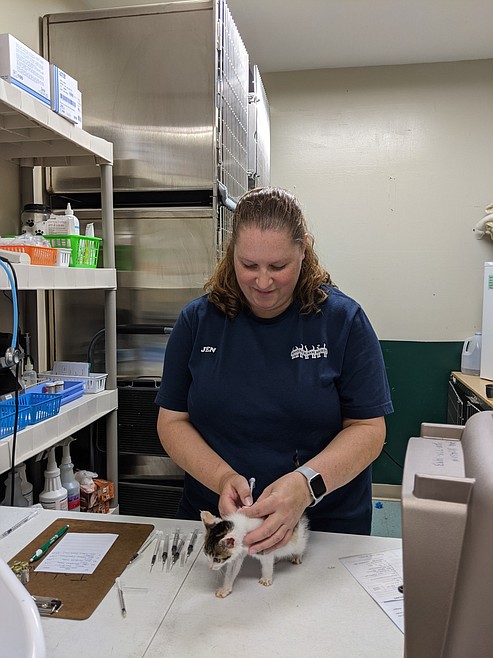 FAST FIVE: Celebrating vet tech Jennifer Abraham during National Vet ...
