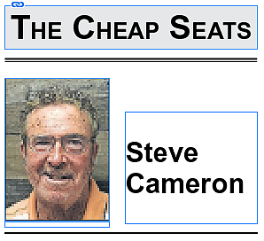 THE CHEAP SEATS with STEVE CAMERON: 'I am a reporter. I am not a cat ...