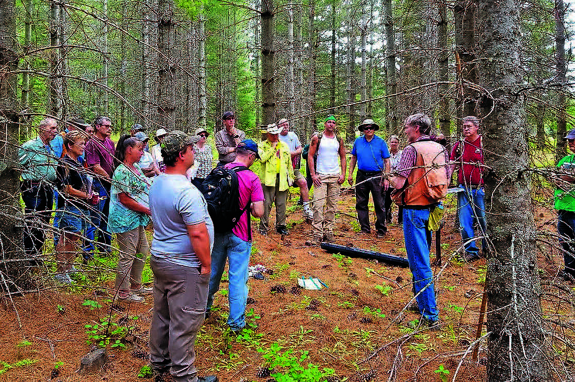 Programs available for family forest owners | Bonner County Daily Bee