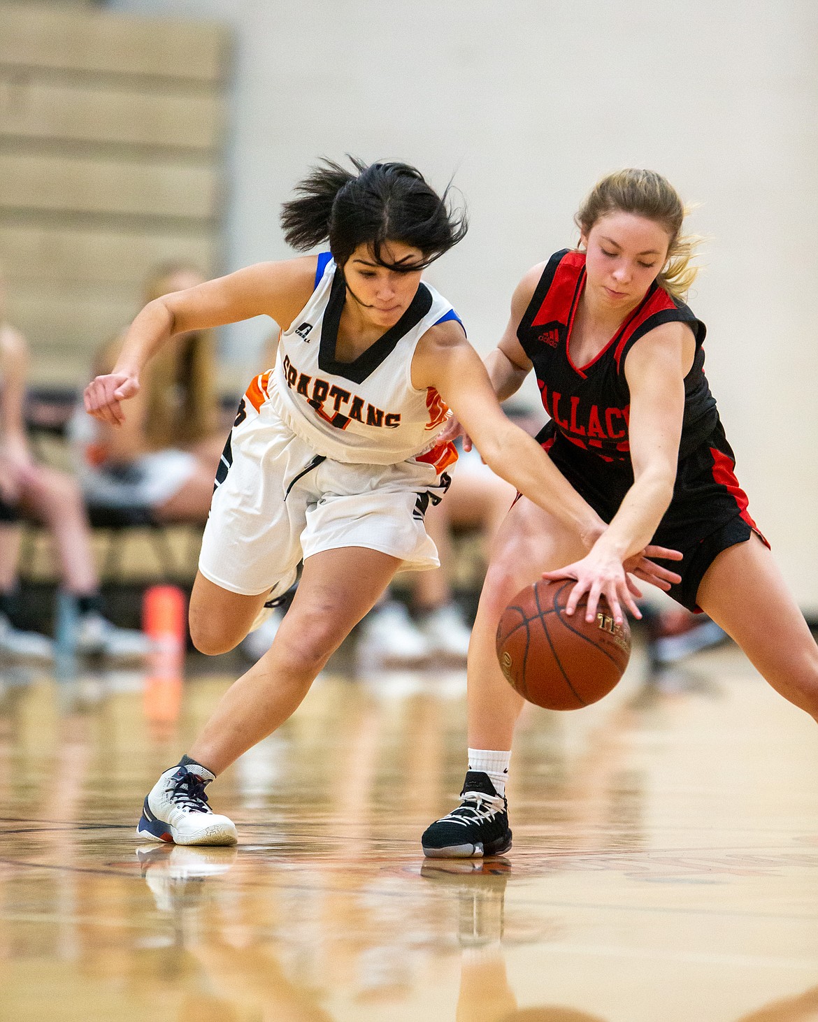 Bonner County Daily Bee