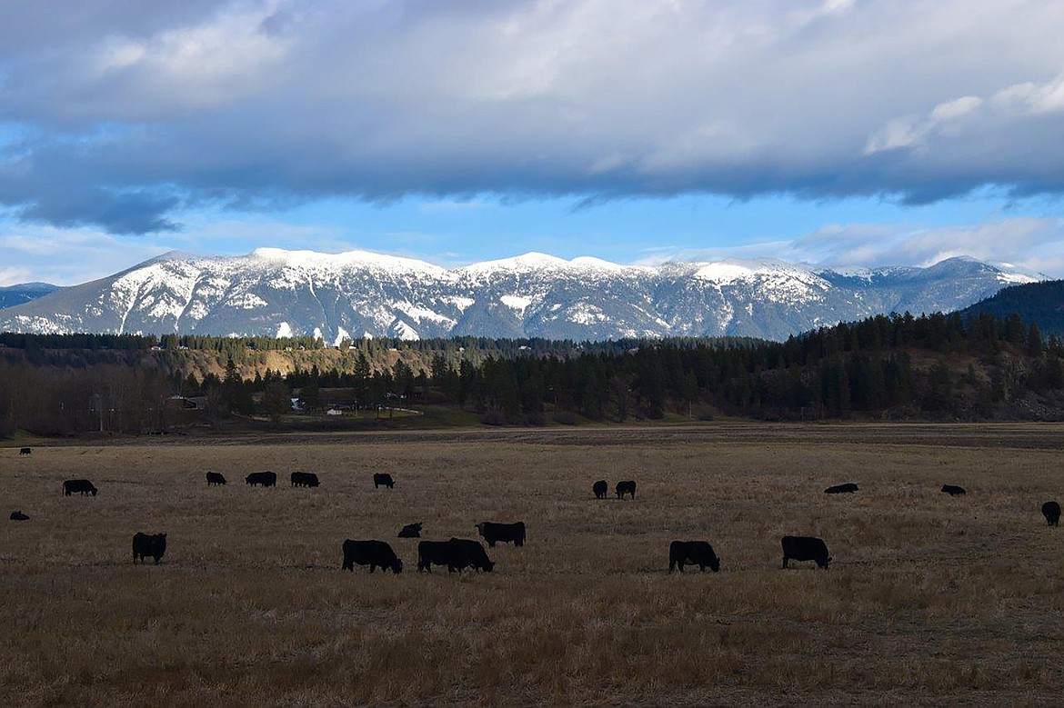 A winter adventure drive | Bonners Ferry Herald
