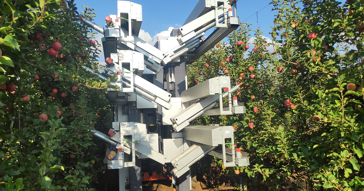 Apple-picking robots set to revolutionize orchard work | Basin Business ...