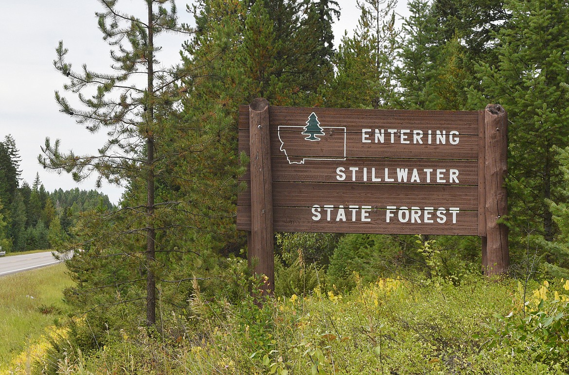 Prescribed burns planned on Stillwater Forest | Whitefish Pilot