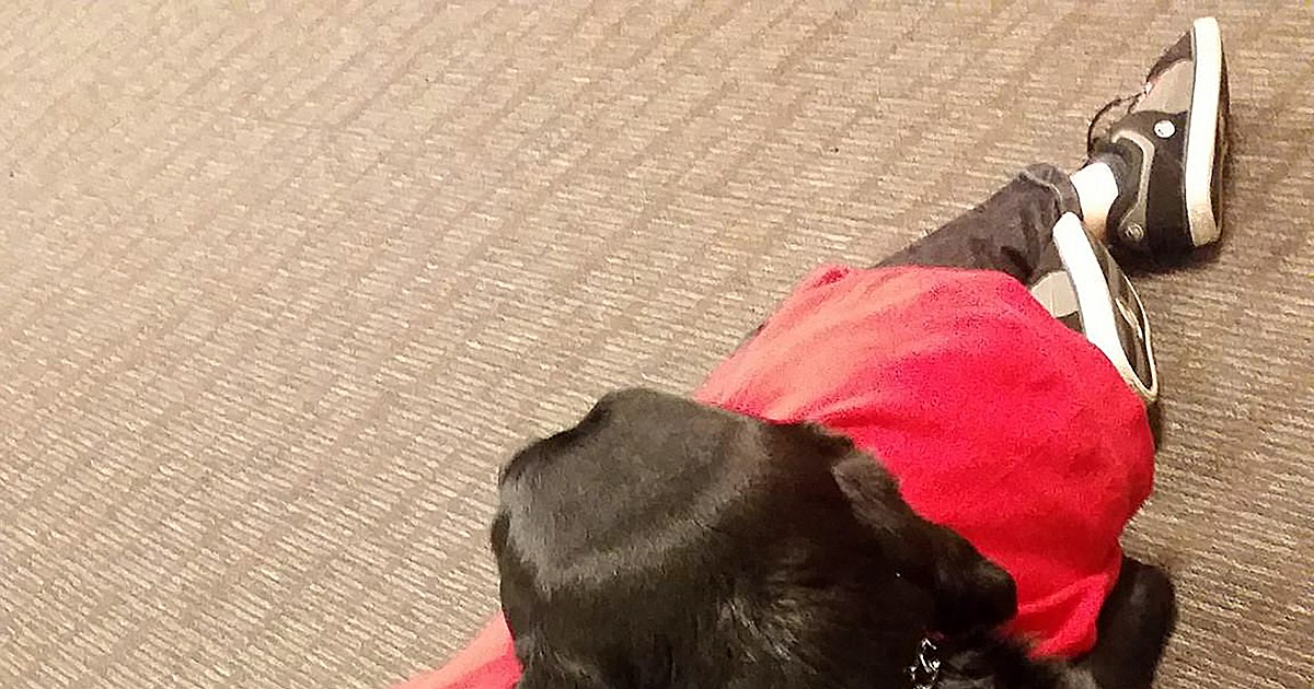 LillyBrooke Kids Fair celebrates fun, focuses attention on child abuse ...