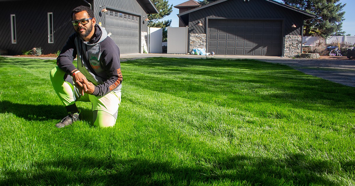 Green lawn; happy lawn: Keep your yard looking fresh all season with ...