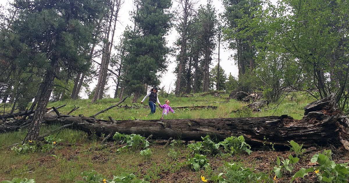 Mineral Ridge trails reopen | Coeur d'Alene Press