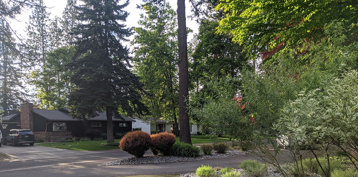 Swing big at Hayden Country Club | Coeur d'Alene Press