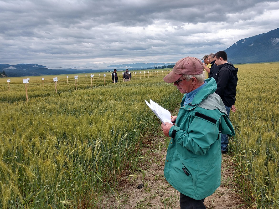 A field day, farm tour scheduled for Houck Farm | Bonners Ferry Herald