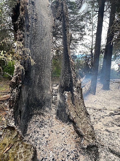 Tuesday storm sparks East Hope wildfire | Bonner County Daily Bee