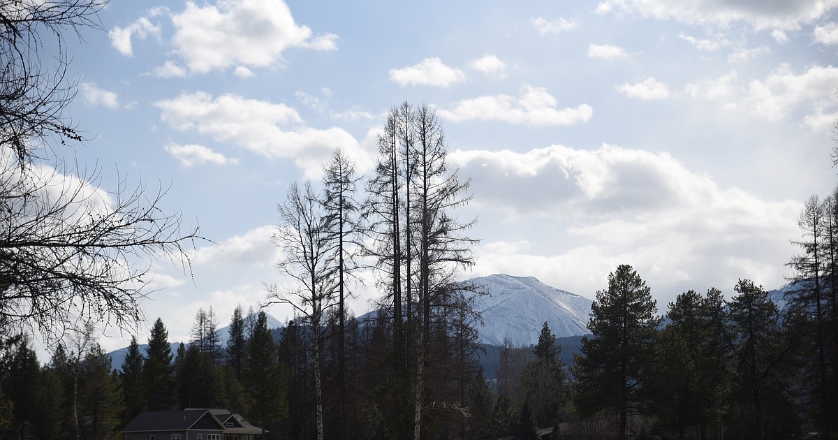 Cabinet View Golf Club repays loan to City Hall | Western News