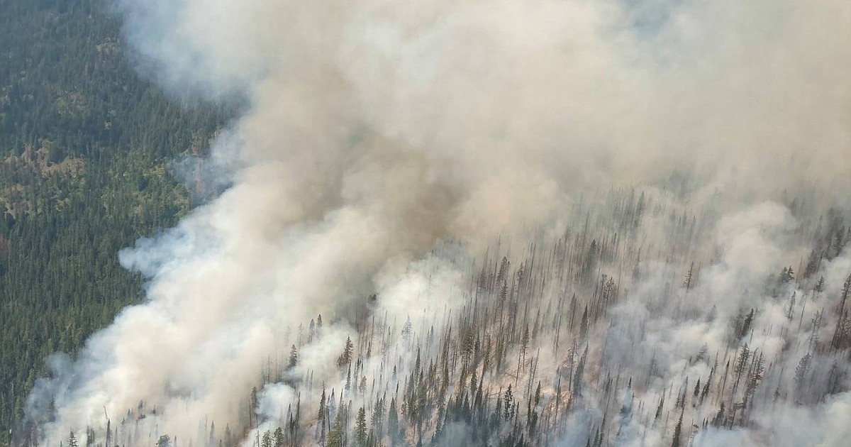 Lolo National Forest road and trail closures on Stateline Complex Fire ...