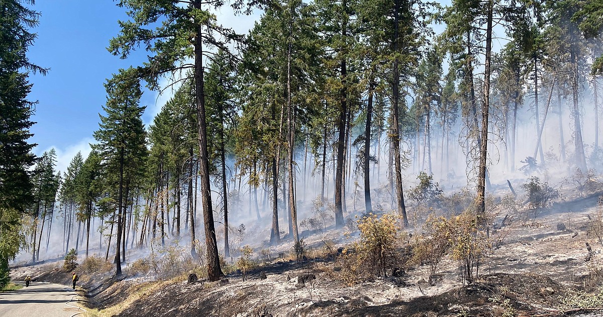 Private timberlands closed due to fire danger | Daily Inter Lake