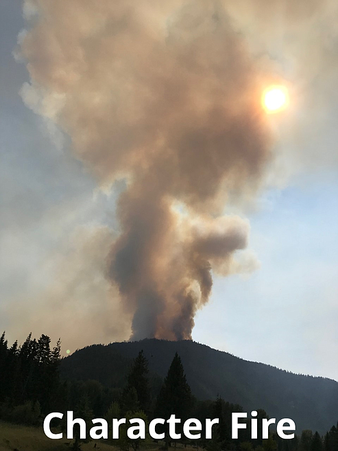 Character Complex Wildfire update for Aug. 3 | Shoshone News-Press