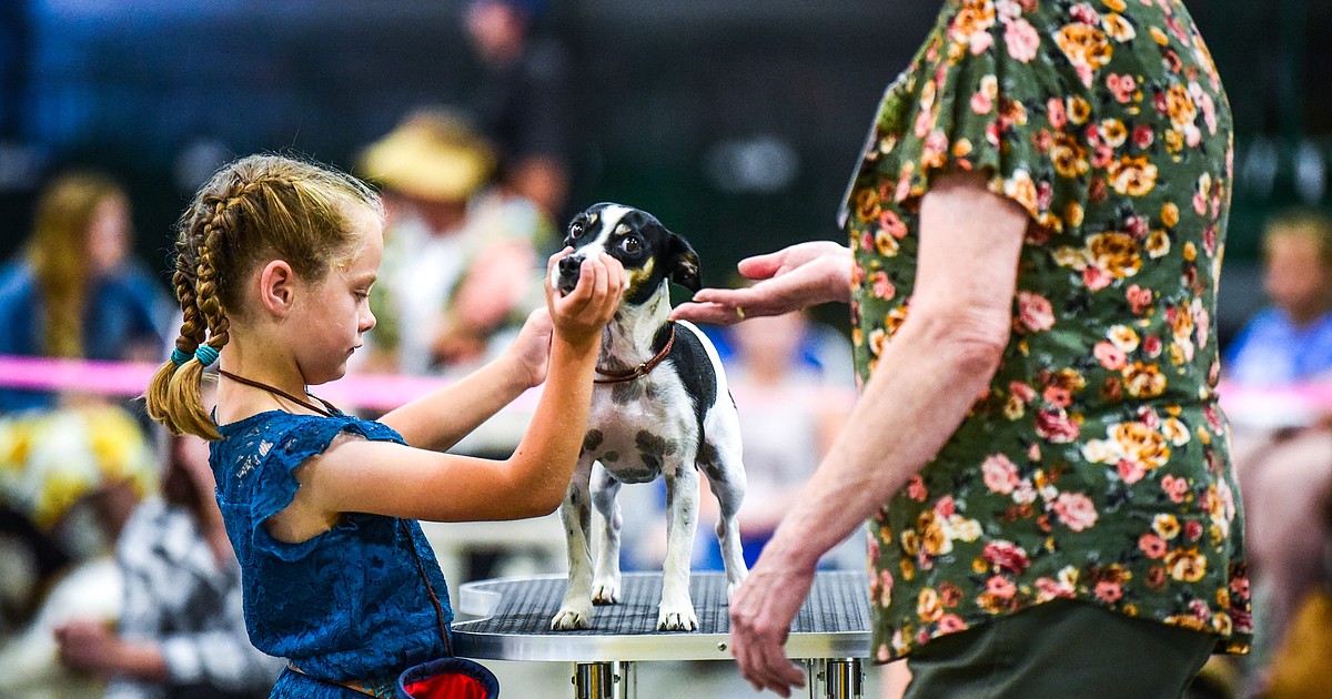 PHOTOS: Scenes from the 4-H Dog Show at the Northwest Montana Fair ...