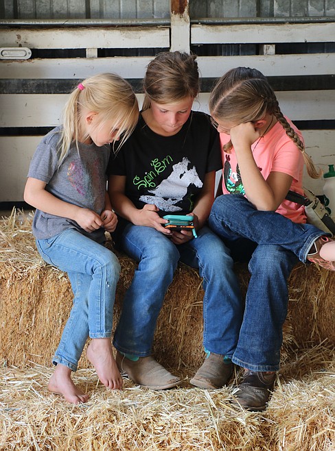 'Lettuce' have fun at the Bonner County Fair | Bonner County Daily Bee