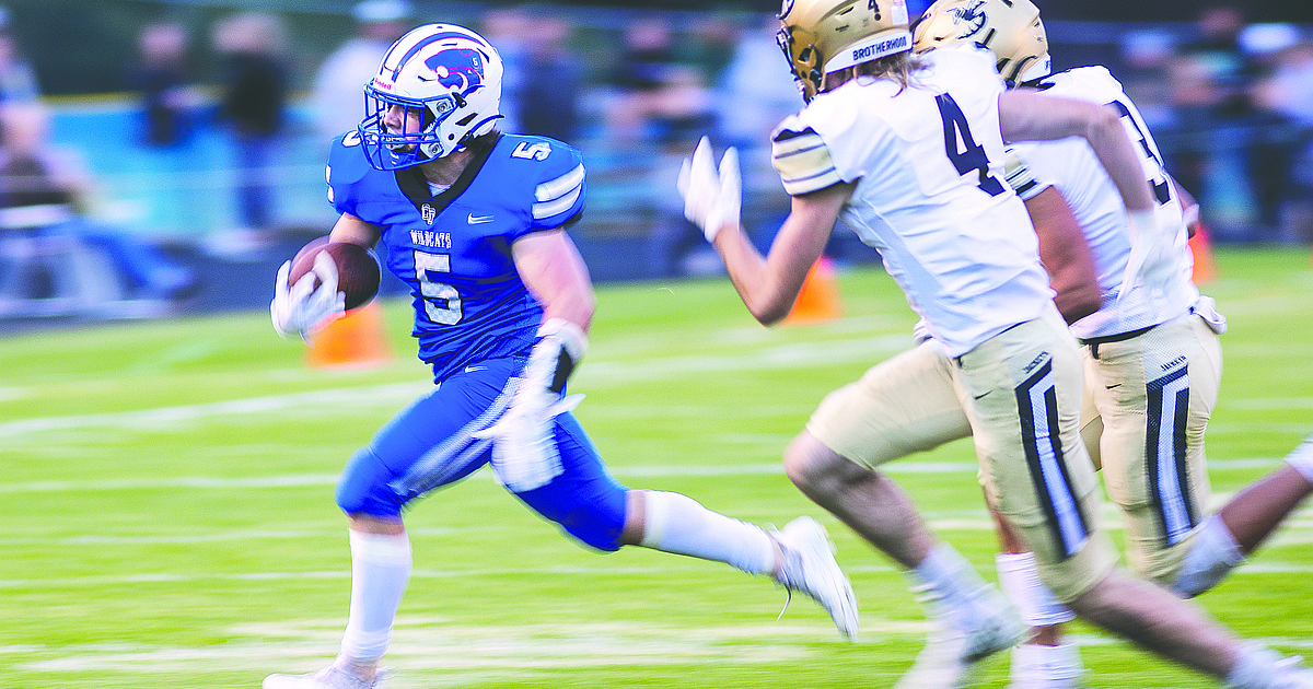 Roth shows up to give Cats another target | Daily Inter Lake