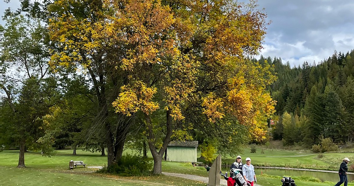 Helmer earns 'Ace of Aces' honors | Bonners Ferry Herald