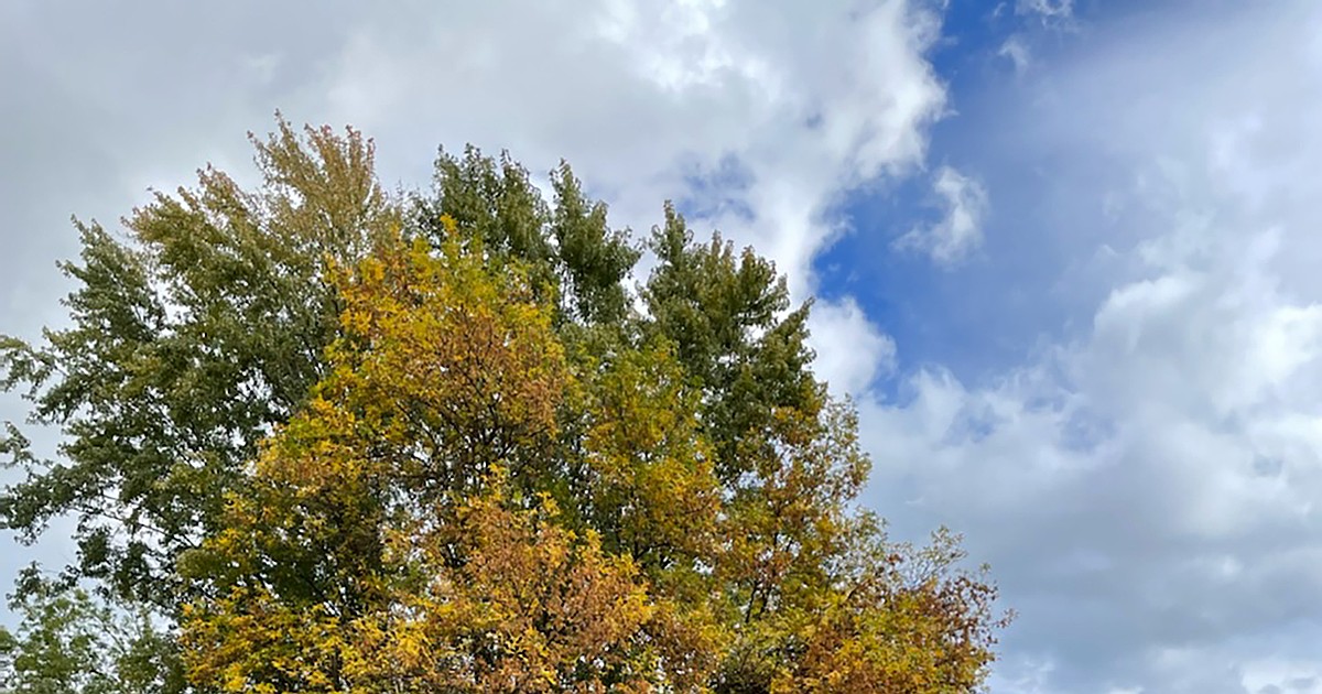 Helmer earns 'Ace of Aces' honors | Bonners Ferry Herald