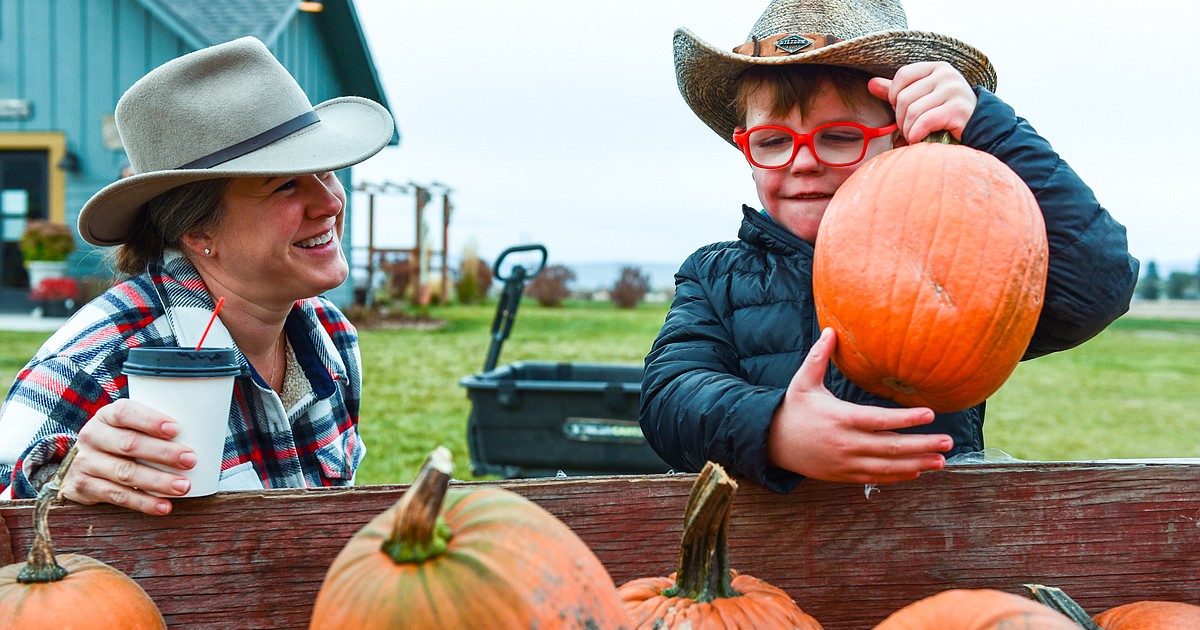 Popular pumpkin patch marks 20th year | Daily Inter Lake