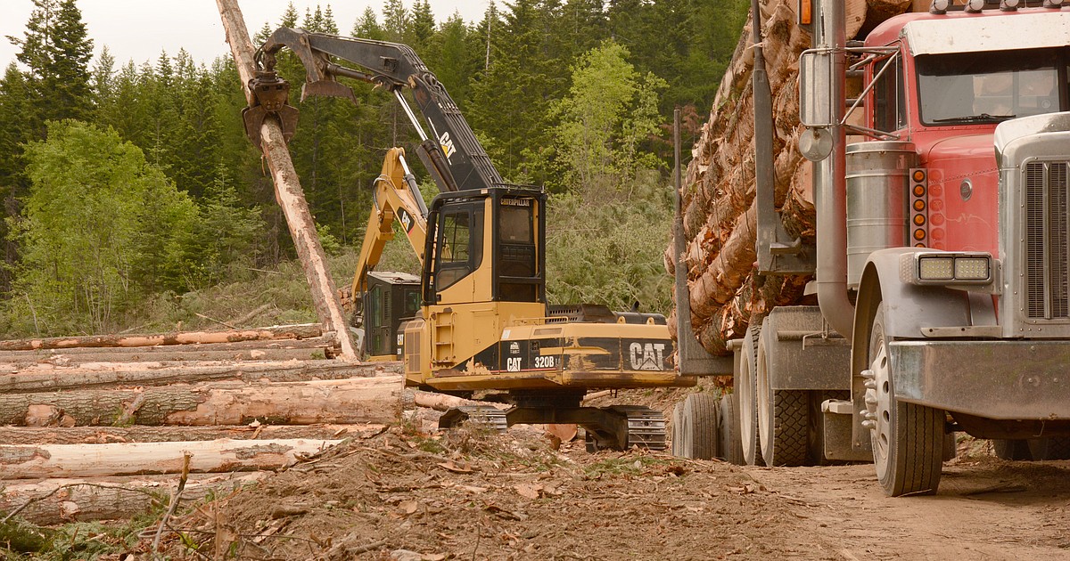 Idaho's roads, schools benefit from timber sales | Bonner County Daily Bee