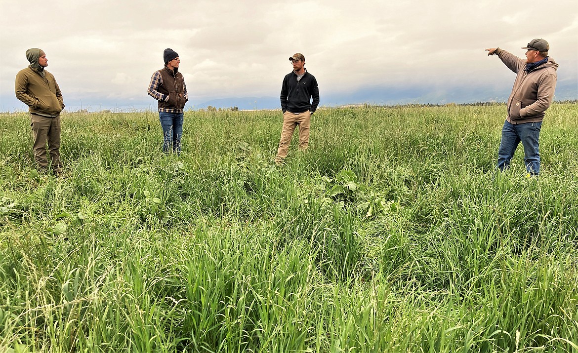 Farm tour shows value of cover crops | Lake County Leader